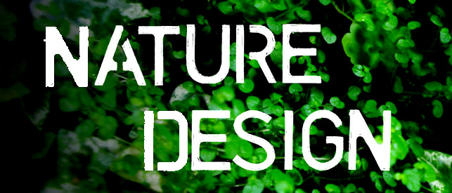 nature design besancon pontarlier - Mur Végétal et Aquariums sur mesure ...