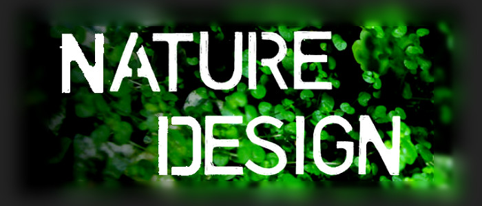 nature design besancon pontarlier - Mur Végétal et Aquariums sur mesure ...